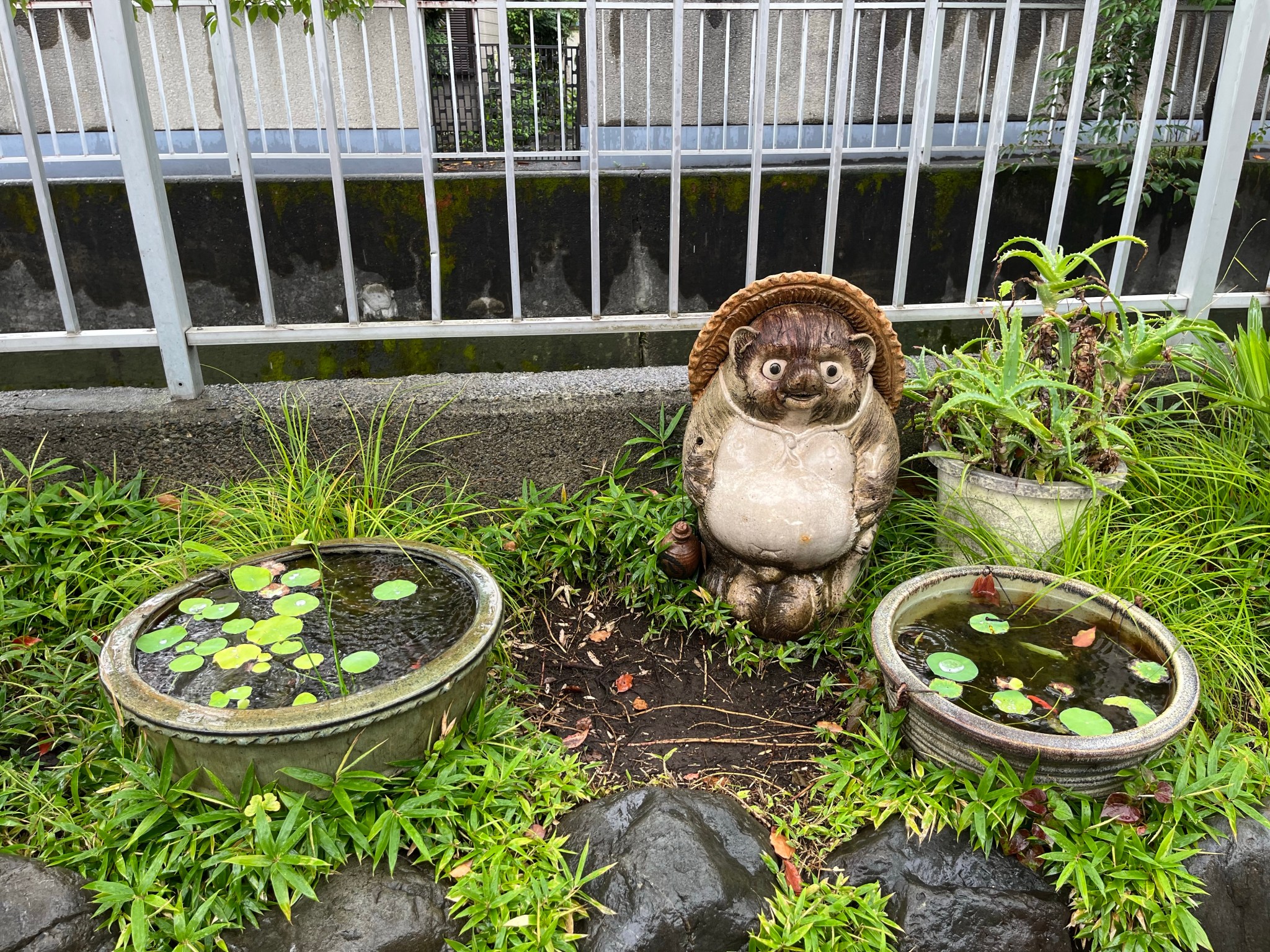 Tanuki in Japan – Gleanings in Buddha-Fields
